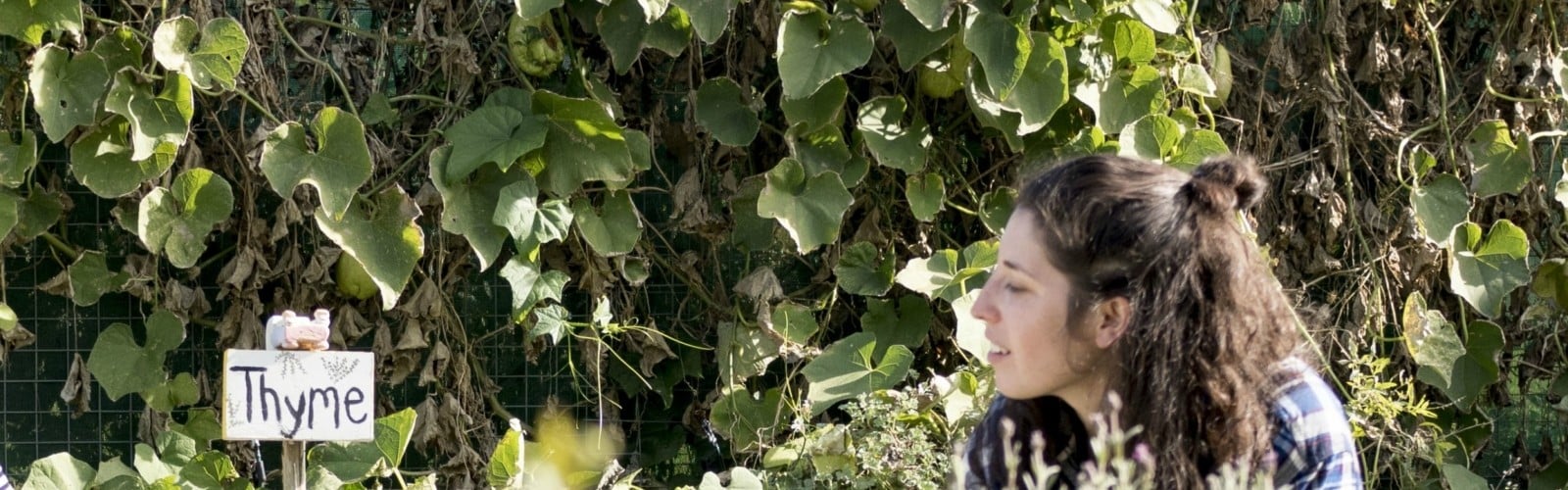 Why do an Ethical Internship? - Roots Interns