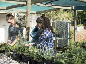 Why do an Ethical Internship? - Roots Interns