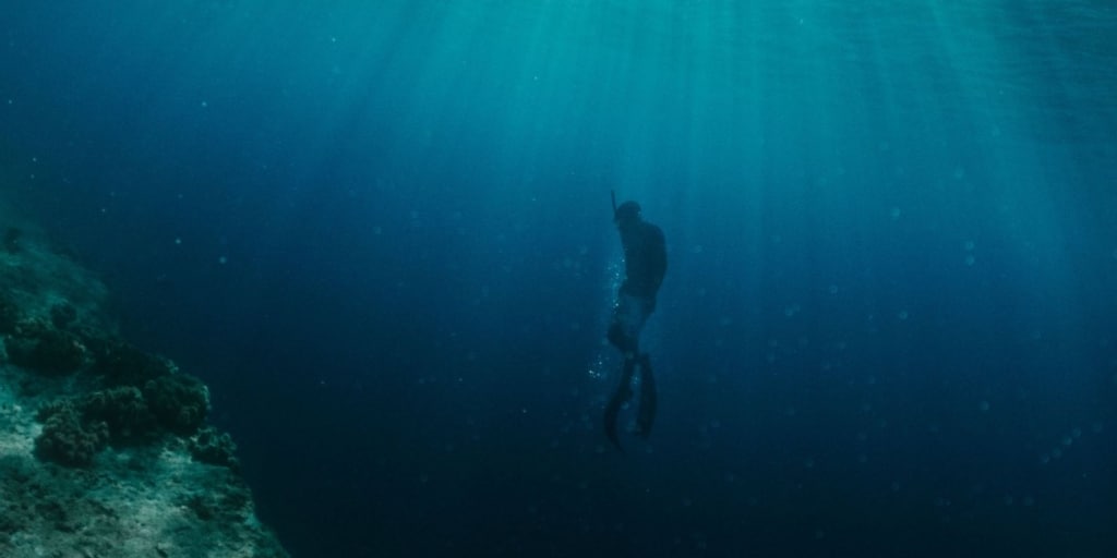 How to Find the Perfect Gap Year Internship