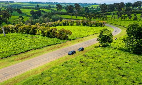 Internships in Kenya: Work Experience in the Nonprofit Sector