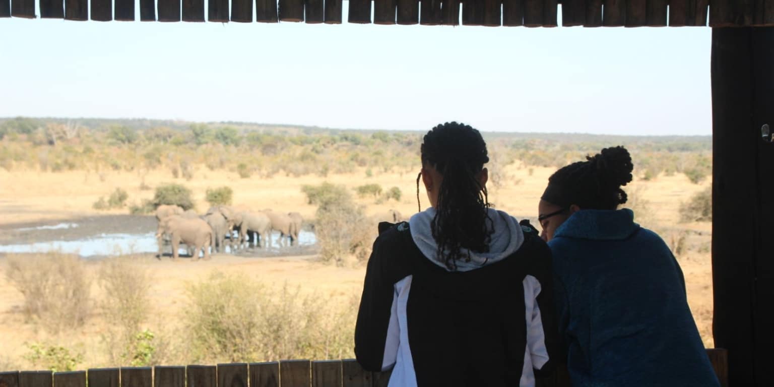 11 Best Wildlife Conservation Internships - Roots Interns