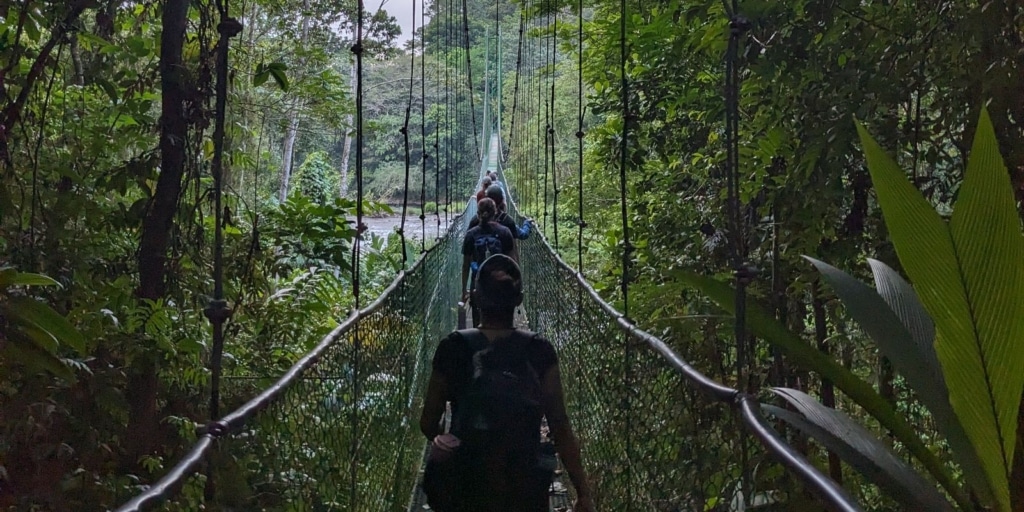 7 Reasons to do an Environmental Management Internship - Roots Interns