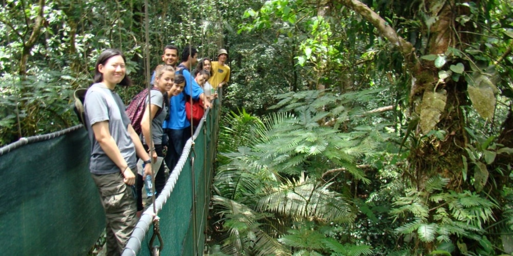 7 Reasons to do an Environmental Management Internship - Roots Interns