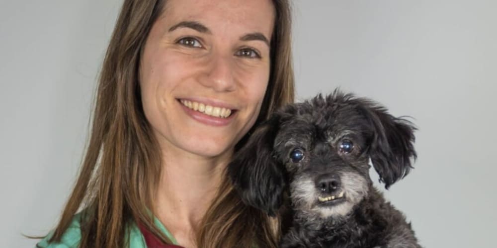 What is Animal Welfare & Why is it Important? - Roots Interns