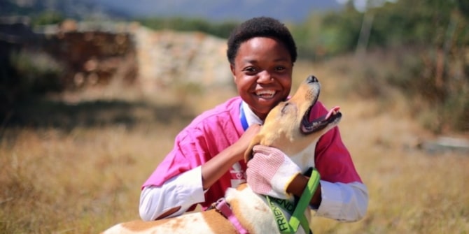 What is Animal Welfare & Why is it Important? - Roots Interns